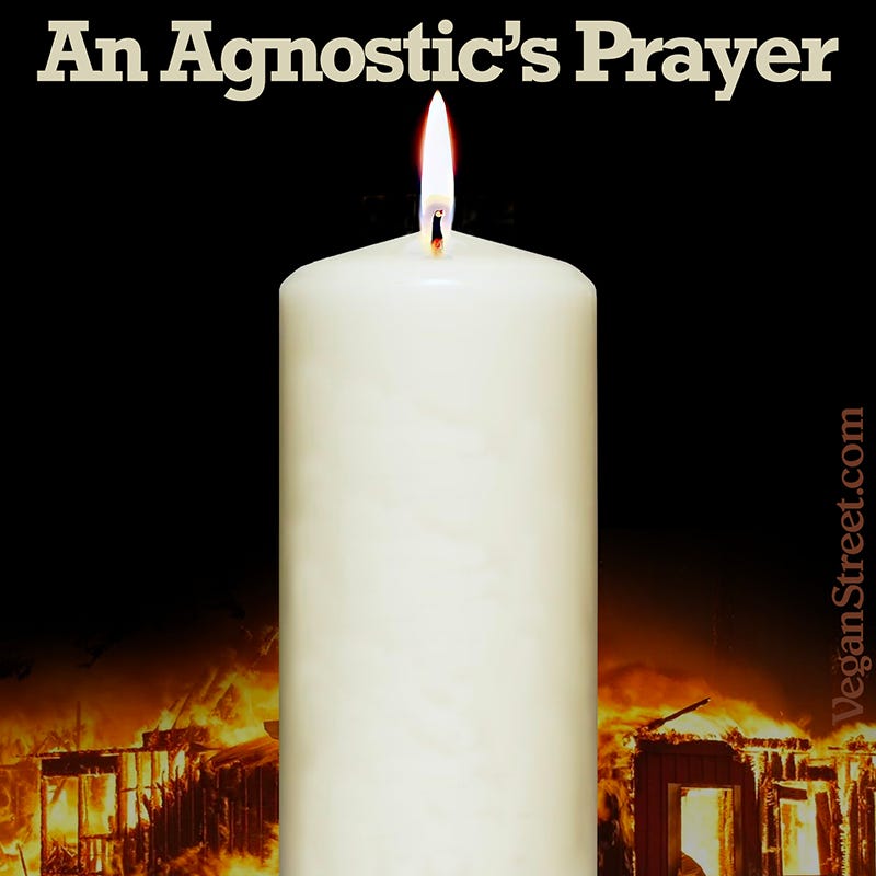 An Agnostic’s Prayer…. It’s a little odd that I’d feel… | by Marla Rose ...
