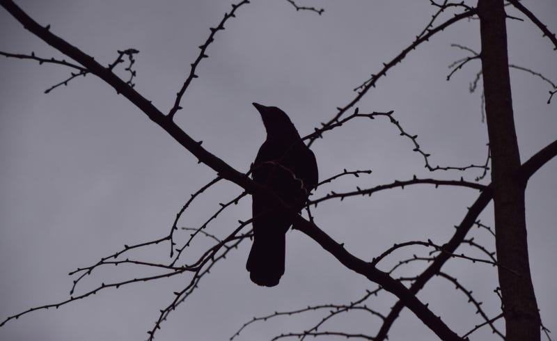 Negative Space. I’m planning a tattoo. I have a thing… | by The Good ...
