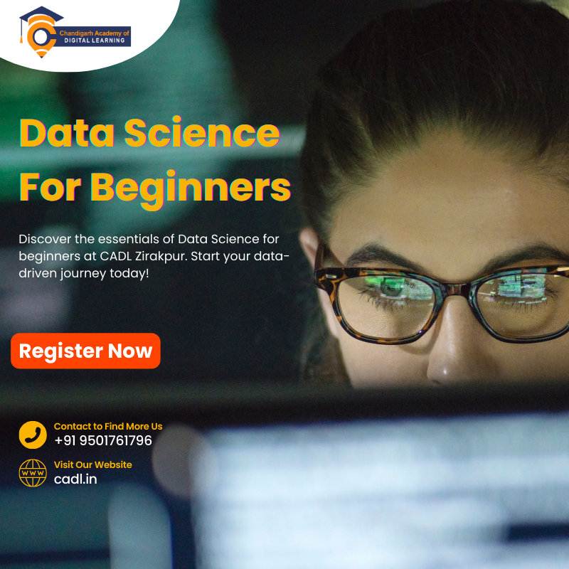 dataFrom Beginner to Expert: Your Essential Data Science Project Roadmap | by CADL-Digital ...