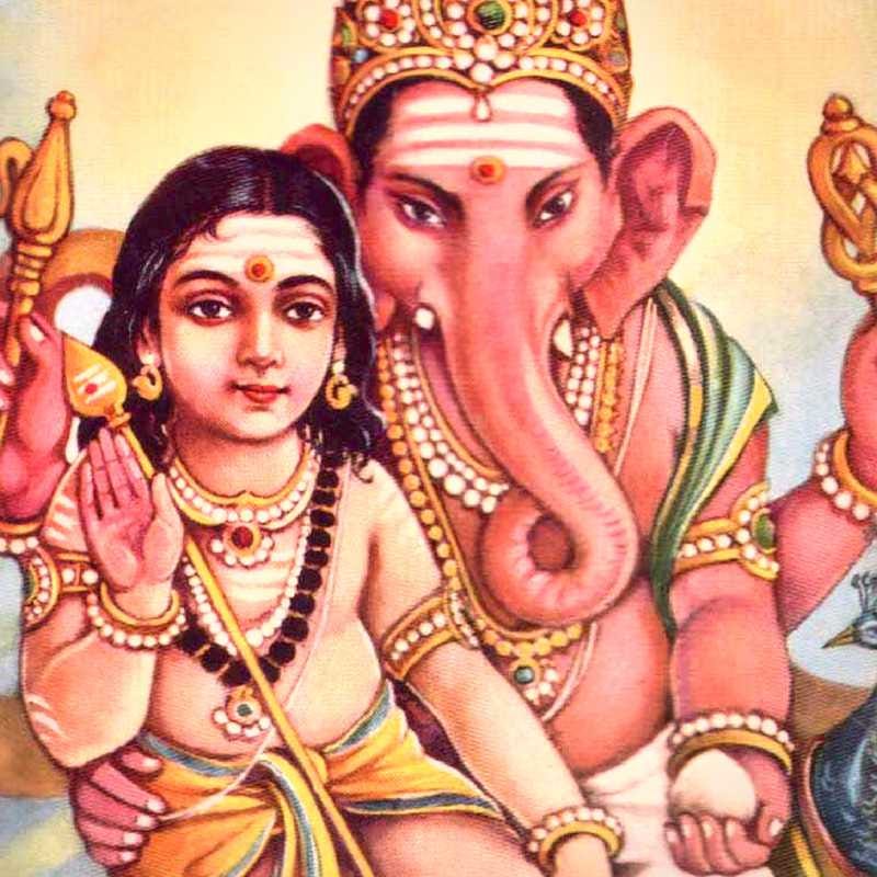 Born on the Shore and Looking for Answers by Shashank Rao | by Alison ...