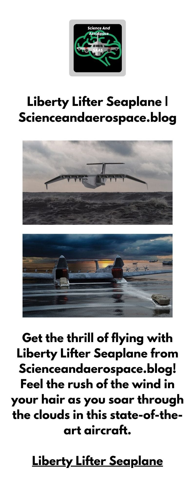 Liberty Lifter Seaplane | Scienceandaerospace.blog ...