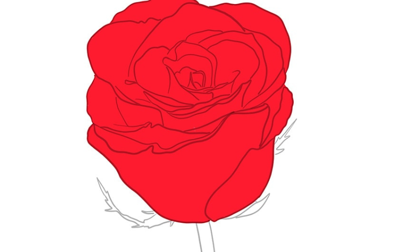 How To Draw Rose Drawing For Kids | by Drawing For Kids | Medium