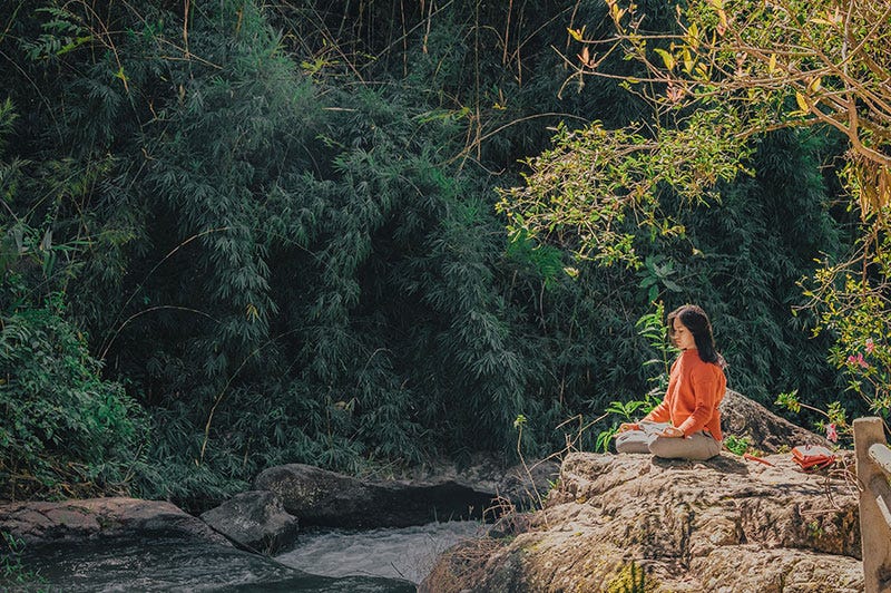 The Poem “Nature’s Serenade”. A Symphony of Beauty and Tranquility ...