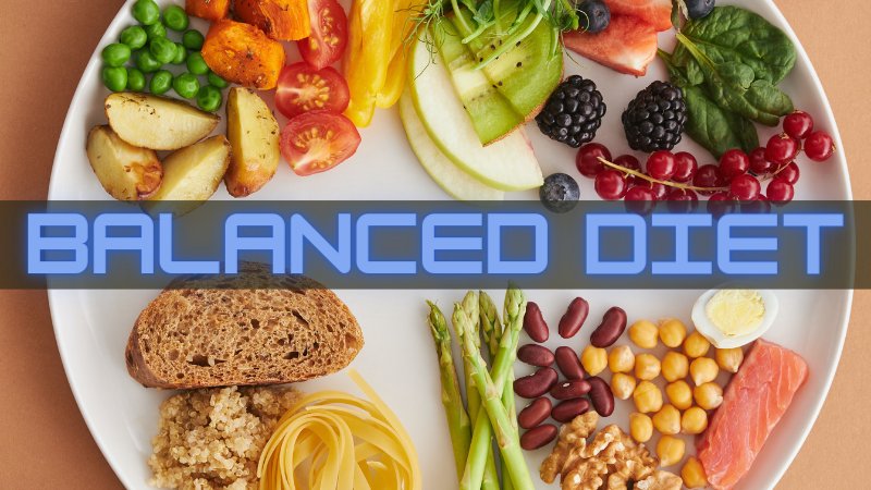 Equilibrium on Your Plate: Mastering the Art of a Balanced Diet | by ...