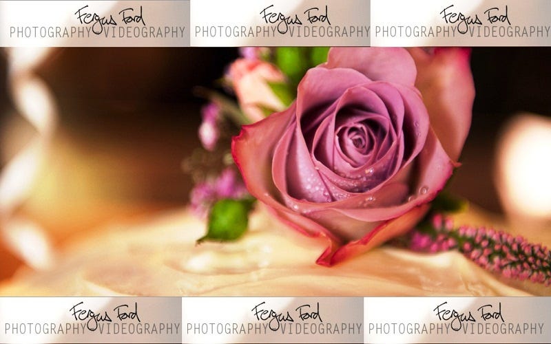 Wedding Photos Surrey Help Cherish the Unforgettable Memories of Your ...