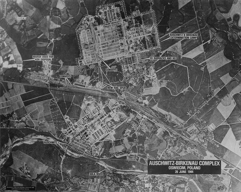 No Escape. This is a an excerpt from the… | by The Holocaust Survivor ...