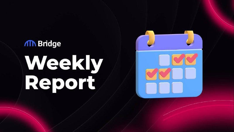 Bridge Network Weekly Report November 28 — December 5 - Mati Gallardo ...