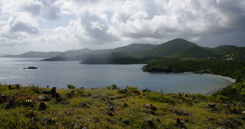 10 Female Caribbean Authors You Should Know | by Patrick Bova | Guyana ...
