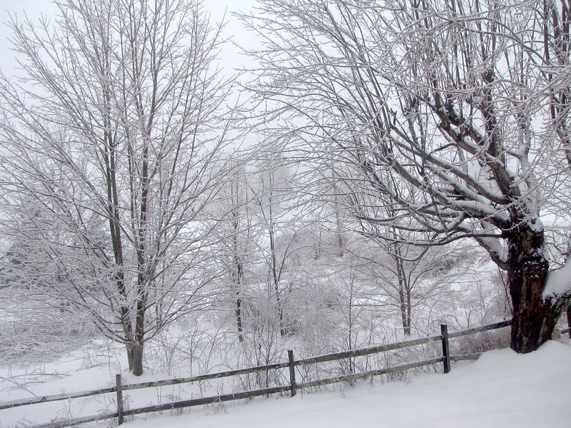 The Year Without a Summer in 1816 New England | by Stephen Dalton ...