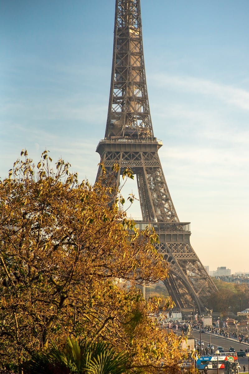 Seamless Journeys: Experiencing Paris with Style and Comfort" The City ...