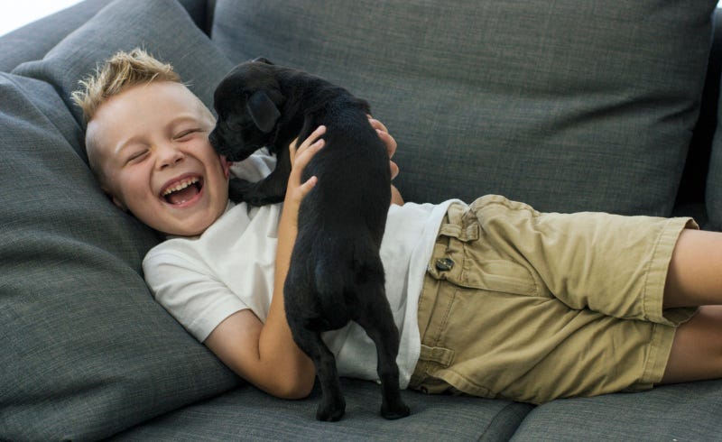 Breaking the Boy Code: What Happens When We Let Sensitive Boys Be Themselves | by The Good Men ...