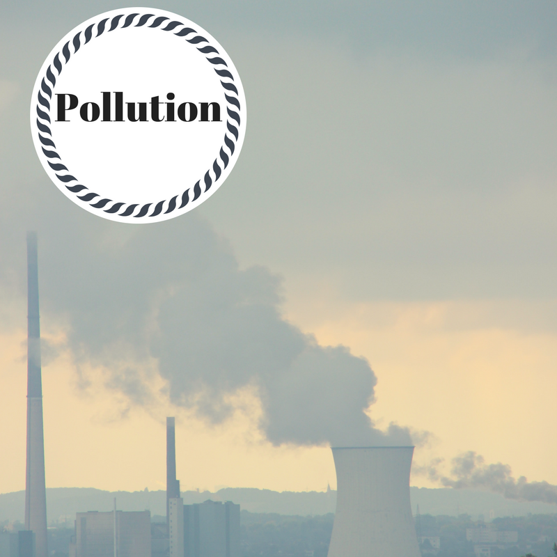 Thoughts On Pollution. We live in an environment where we are… | by ...