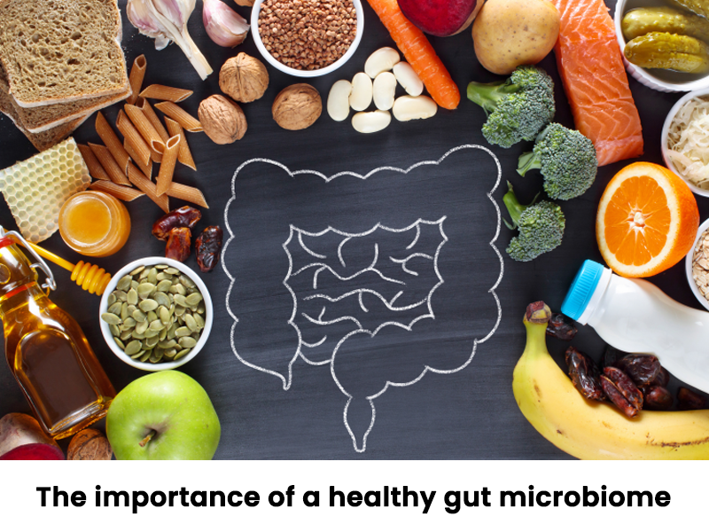 The importance of a healthy gut microbiome | by Apurba Digitalgoogly | May, 2024 | Medium