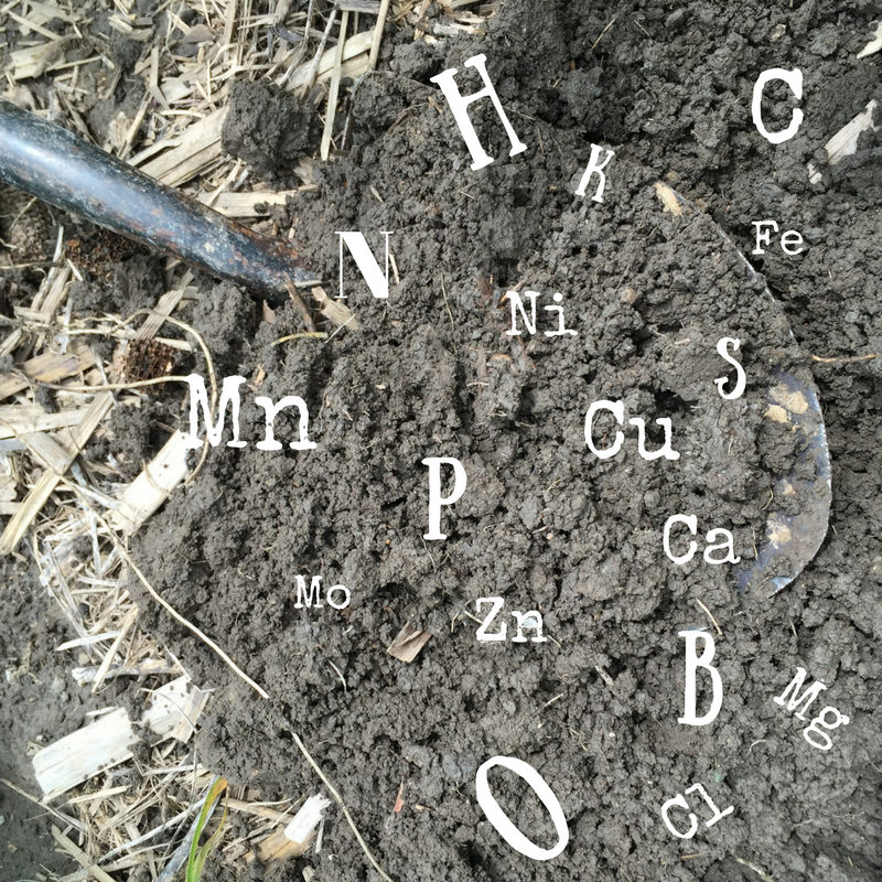 How can a Soil Test Reflect the “Right Chemistry?” | by Dave Myers | Medium
