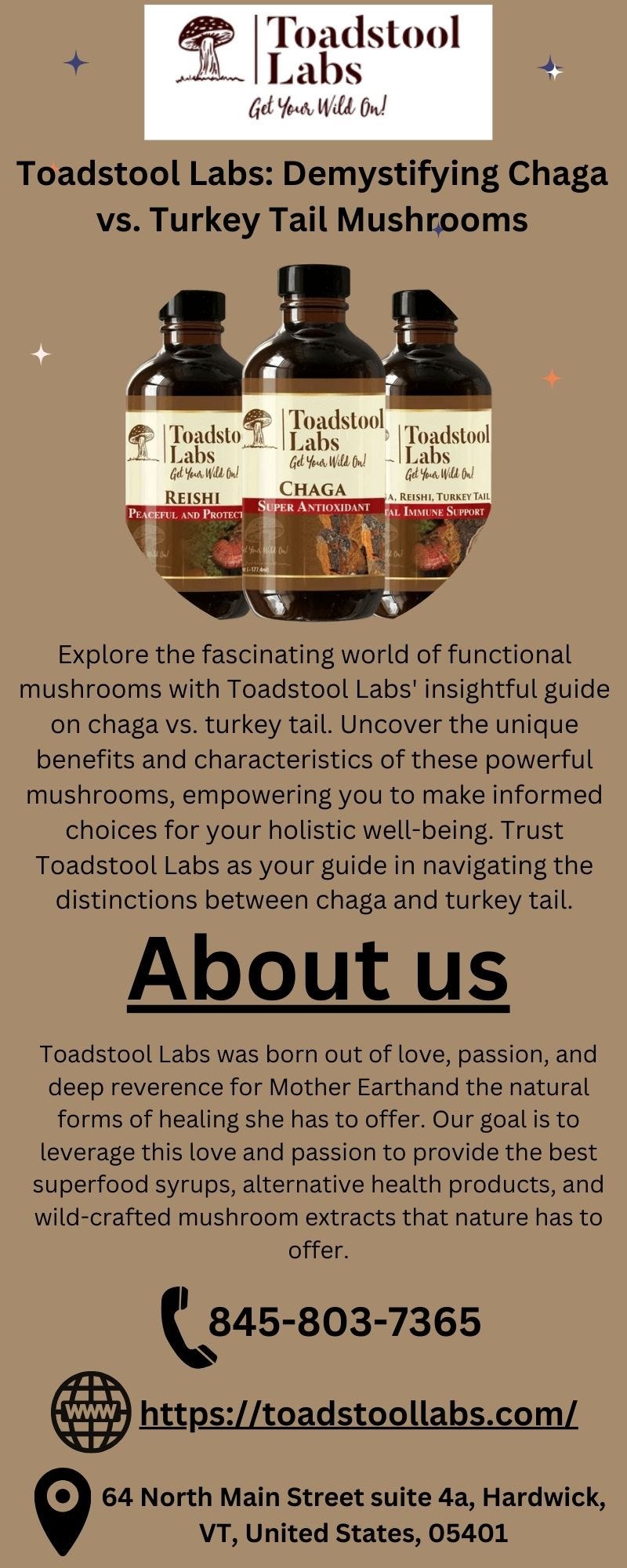 Toadstool Labs: Demystifying Chaga vs. Turkey Tail Mushrooms - Toadstoollabs - Medium