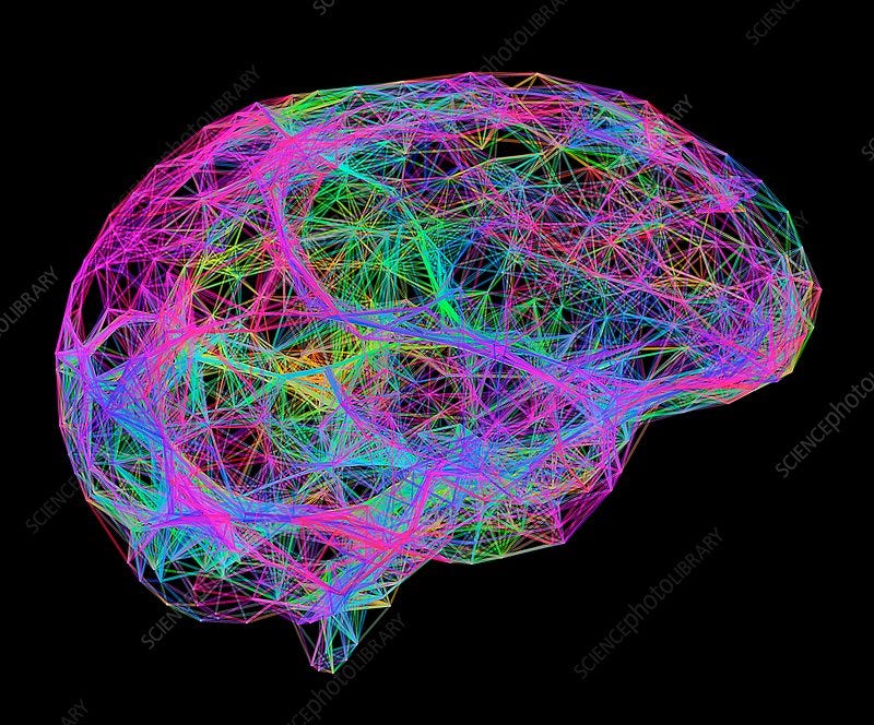 Neural Nets an Introduction. Part-1 | by Prahaladh Chandrahasan | Medium