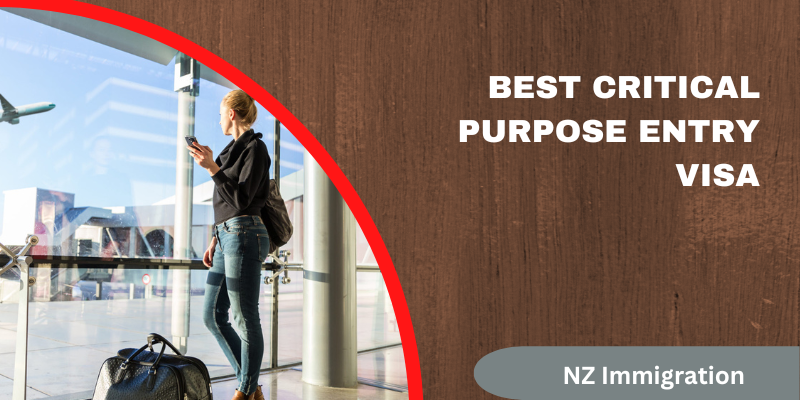 Best Critical Purpose Entry Visa - Jones Lee - Medium