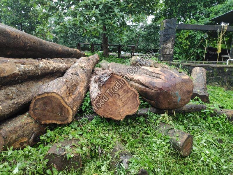 Top 7 Benefits Of Investing In Teak Wood Furniture | by Devarshi | Medium