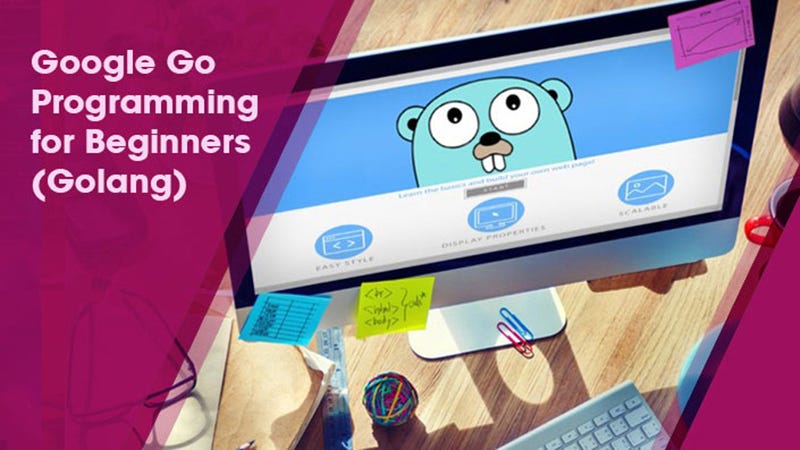 Beginner’s Guide to Learning the Famous GO Language. | by Benita Emudianughe | Medium