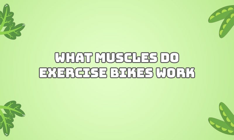 What Muscles Do Exercise Bikes Work: Ultimate Fitness Guide | by Andrew ...
