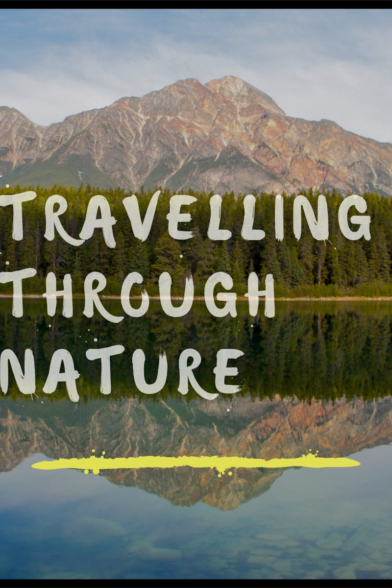 Travelling Through Nature: A Journey of Discovery | by Naaz. M | Medium