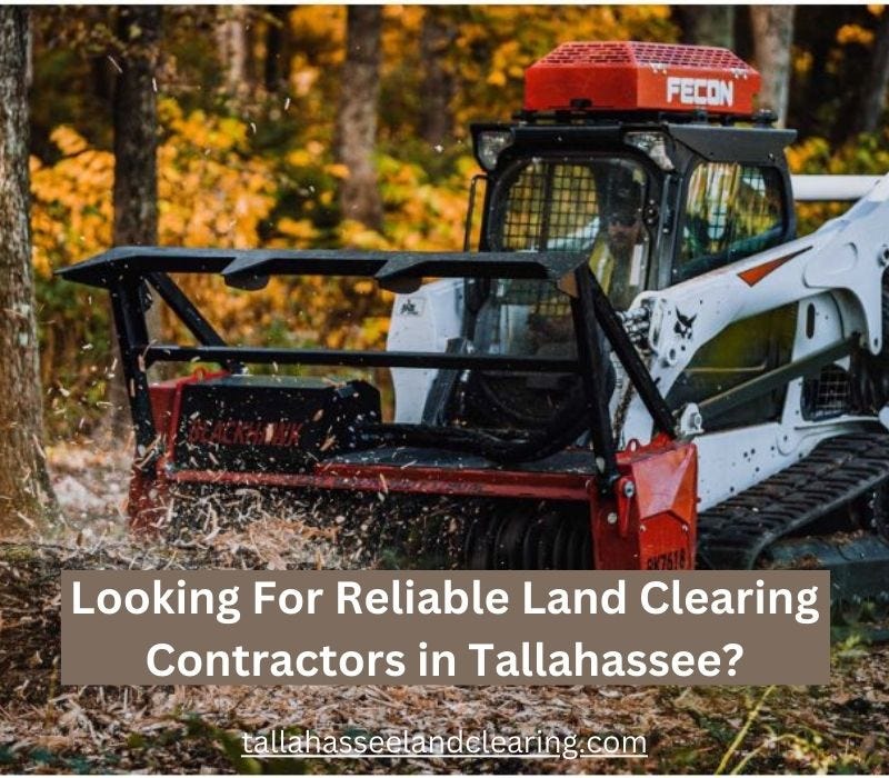 Looking For Reliable Land Clearing Contractors in Tallahassee ...
