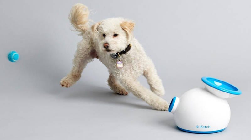 Juguetes interactivos para perros | by Oskar Rastrilla | Medium