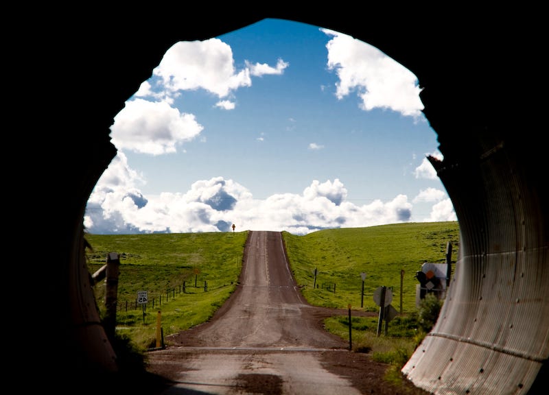 Why you should embrace Frustration | by Jennifer Cirpici | Medium