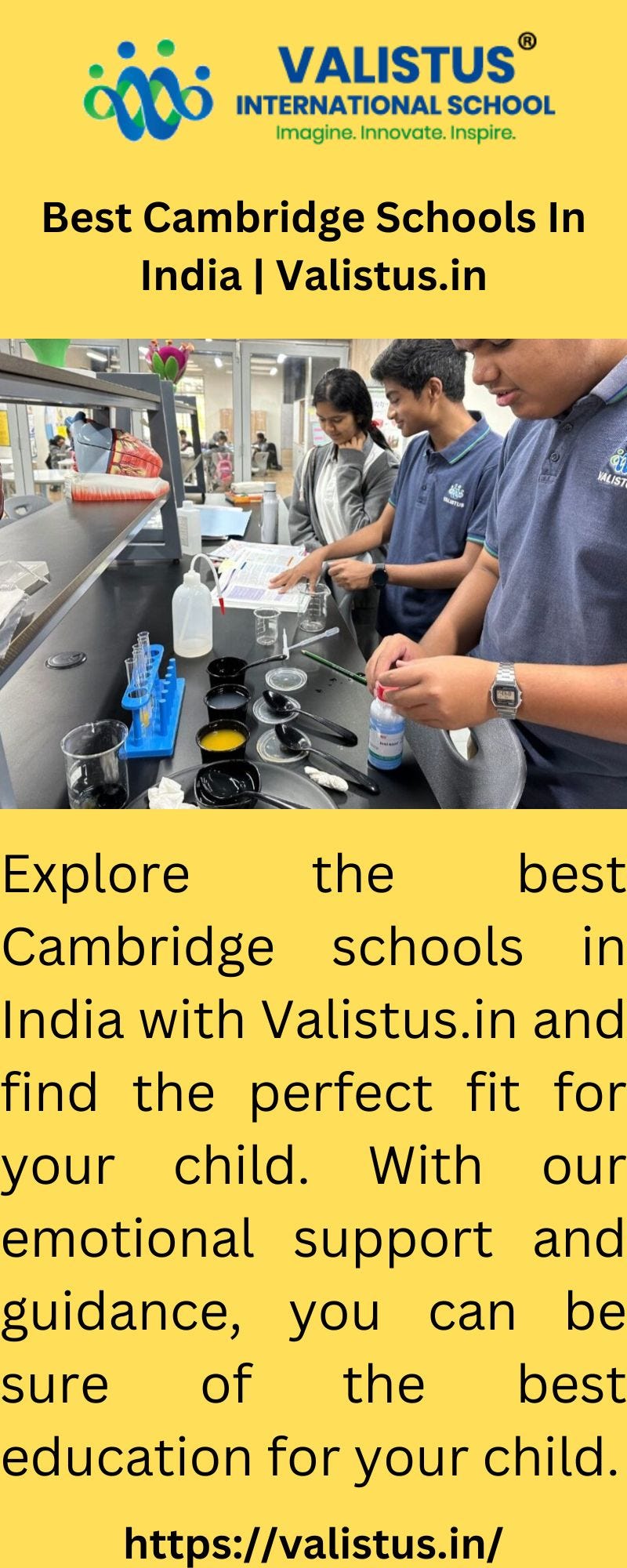 Best Cambridge Schools In India | Valistus.in - Valistus International School - Medium