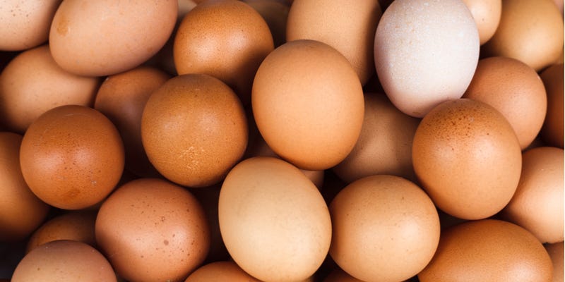 What eggactly do all these labels mean? | by Jennifer Skylas | Medium