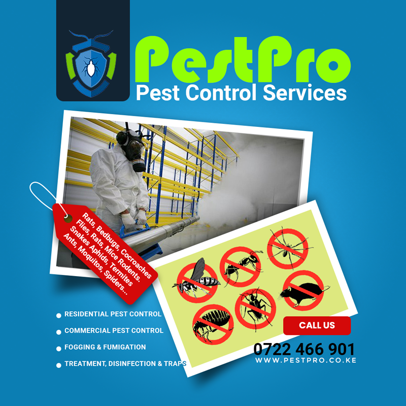 Pest Control Wollongong Effective Management Of Pests