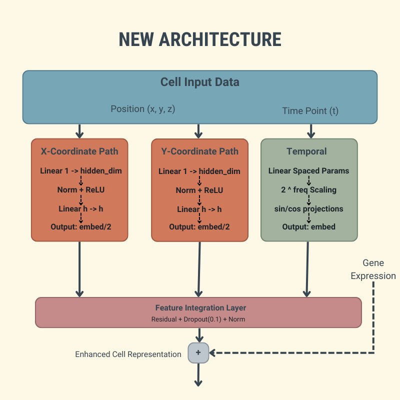 The Code Behind the Biological Transformer: A Python Implementation ...