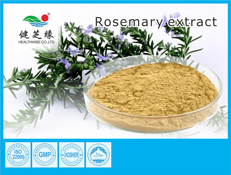 NATURAL HERBAL EXTRACT WHOLESALE POWDER | by sfextract | Mar, 2024 | Medium