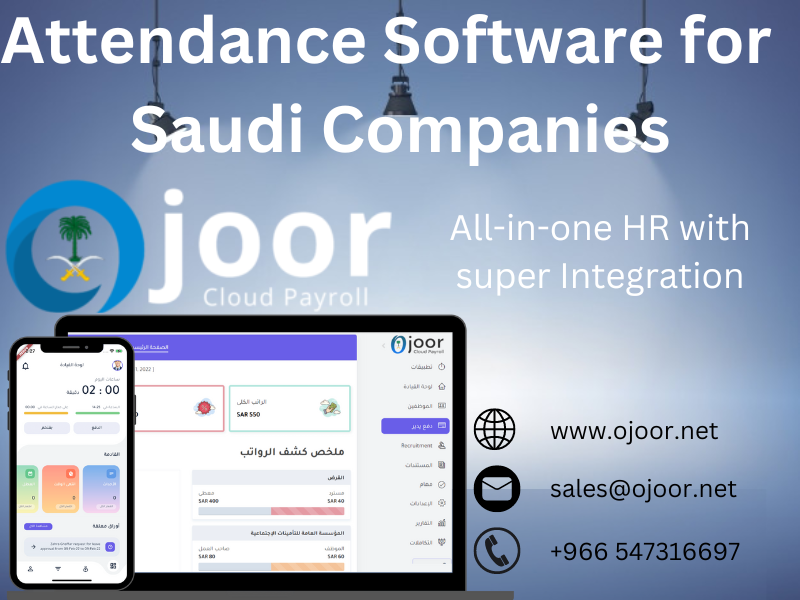 What are the different types of HR systems in Saudi Arabia? | by ...