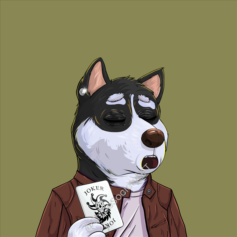Shibe Society. Shibe Society is a marketplace that… | by Tombari ...