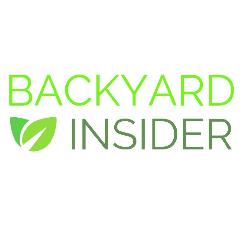 Backyard Insider. Backyard Insider — how to have more fun… | by ...