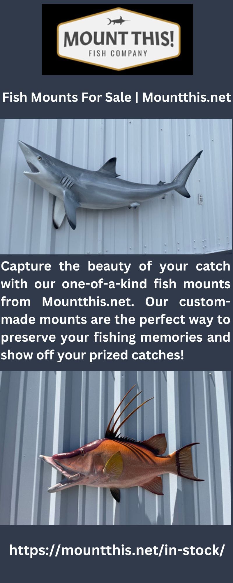 Fish Mounts For Sale | Mountthis.net - mountthis - Medium