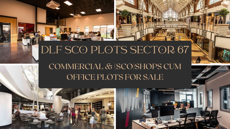 DLF SCO Plots Sector 67 | Shops Cum Office for Sale | by ...