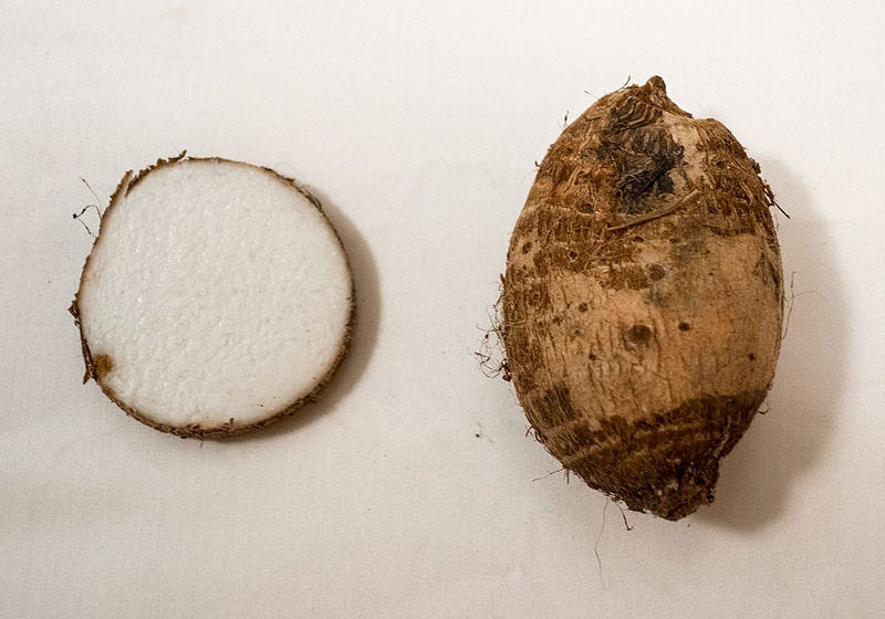 Taro (Yu) in Taiwan. Everyone has heard the Taiwanese folk… | by 葉綠舒 ...