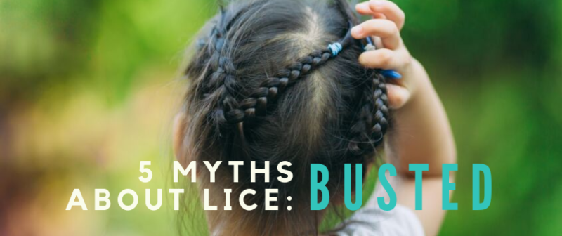 5 Myths About Lice-Busted. Lice can be a big nuisance, and the… | by ...