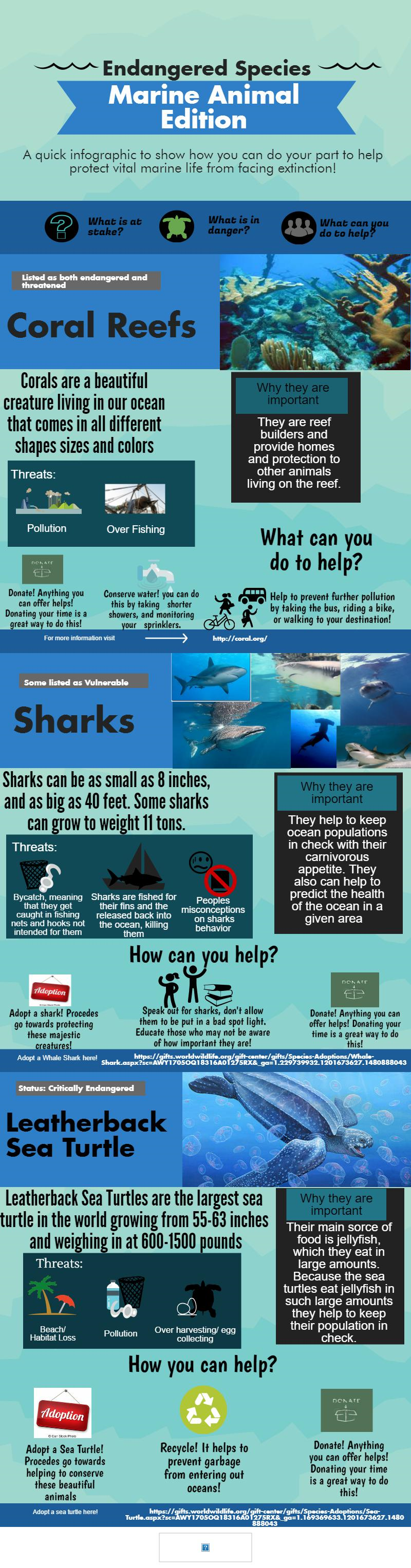 Marine Life Quickview. Here is a quick infographic chart… | by Aurora ...