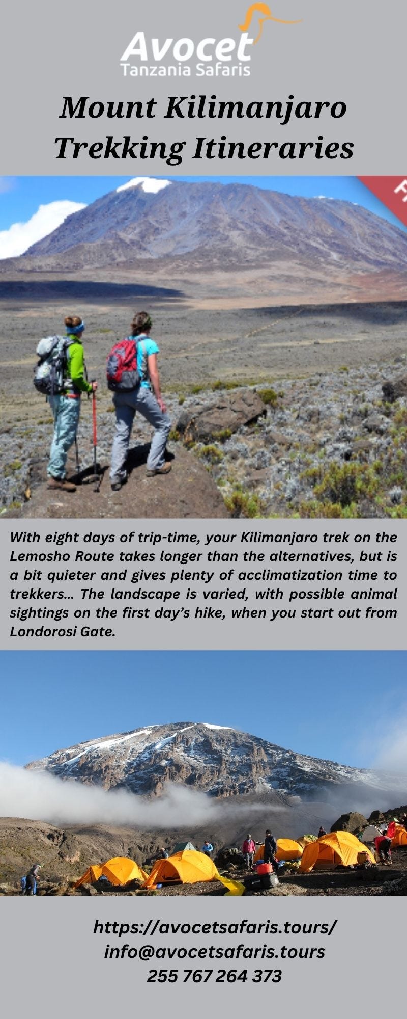 Mount Kilimanjaro Trekking Itineraries - Avocet Tanzania Safaris Ltd ...