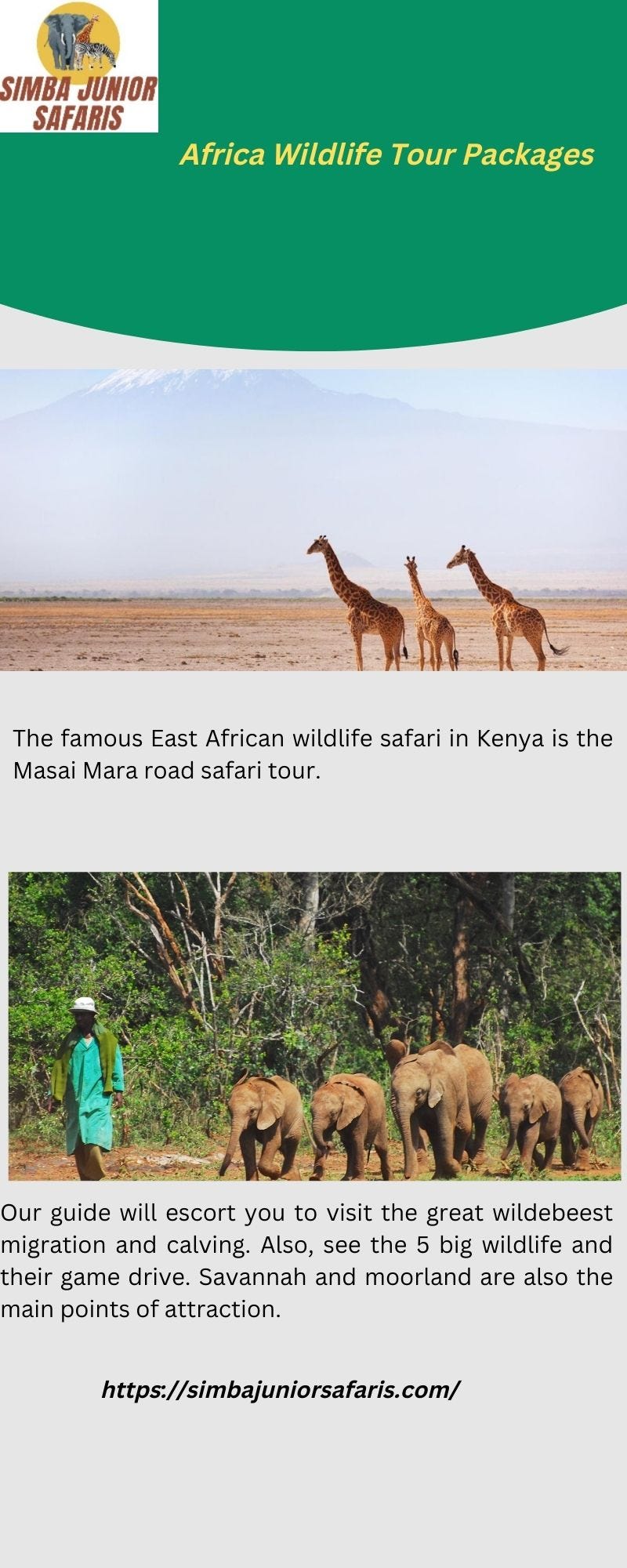 Africa Wildlife Tour Packages - Simba Junior Tours - Medium