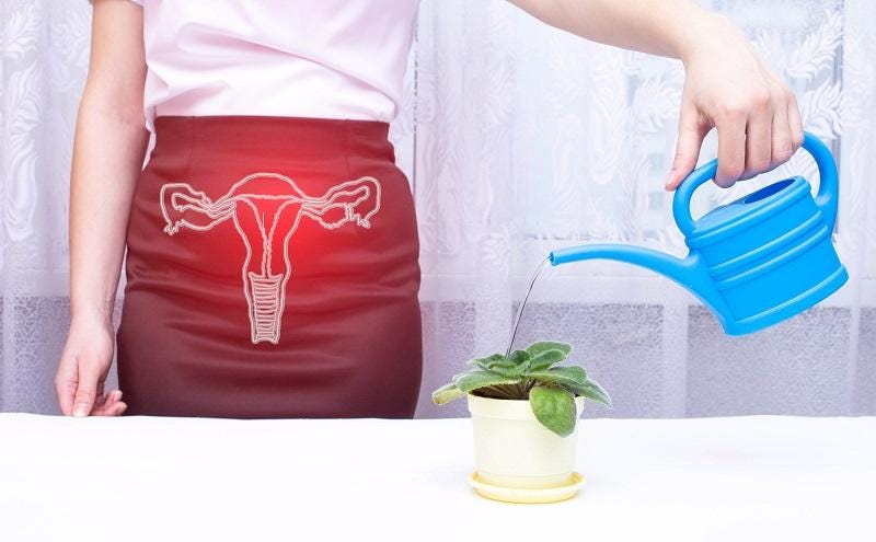 Common Female Urology Problems and How to Treat Them | by ...
