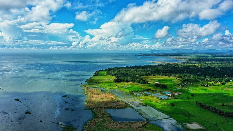 Paddle Through Paradise: The Ultimate Chilika Lake Tour Package Guide ...
