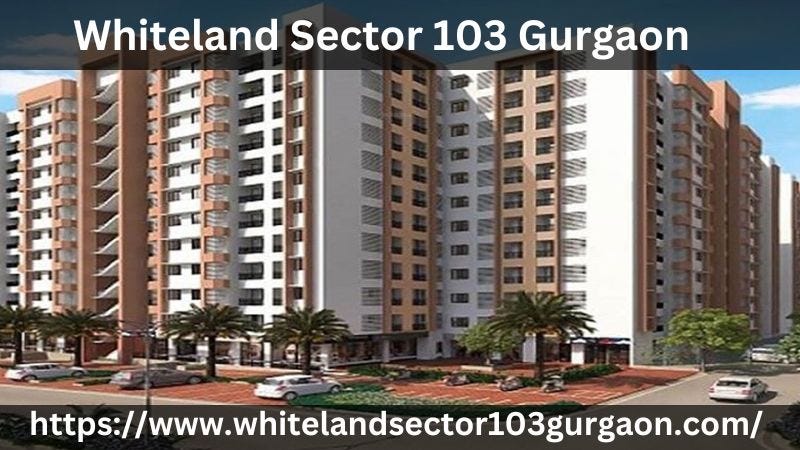 Whiteland Sector 103 Gurgaon | Convenience meets the Luxury - Pinki ...