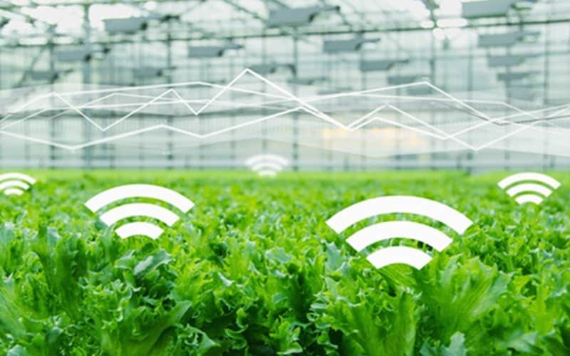 Top 5 Considerations for IoT Sensors in Farming | by Dan Maycock ...