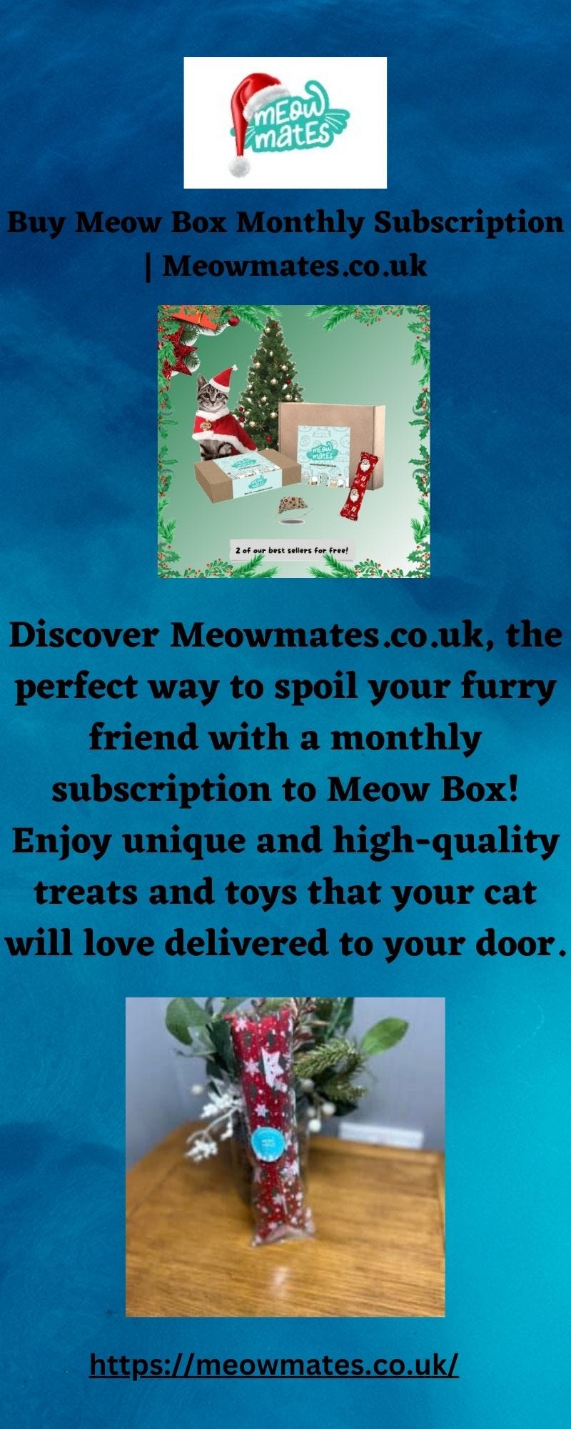 Buy Meow Box Monthly Subscription | Meowmates.co.uk - Meow Mates - Medium