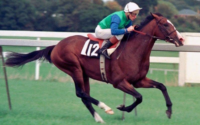 The Future Of Sadler’s Wells’ NH Sire-Line | by CÓD | Medium