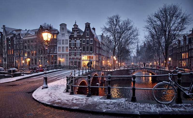 Neurobiology: How the Netherlands Might Combat Drug Trafficking and ...